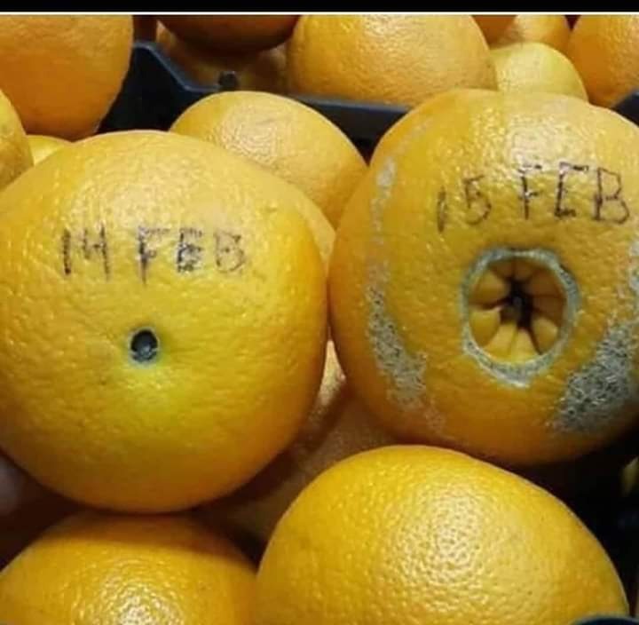 14th Vs 15th February T3hwin 14th Vs 15th February T3hwin